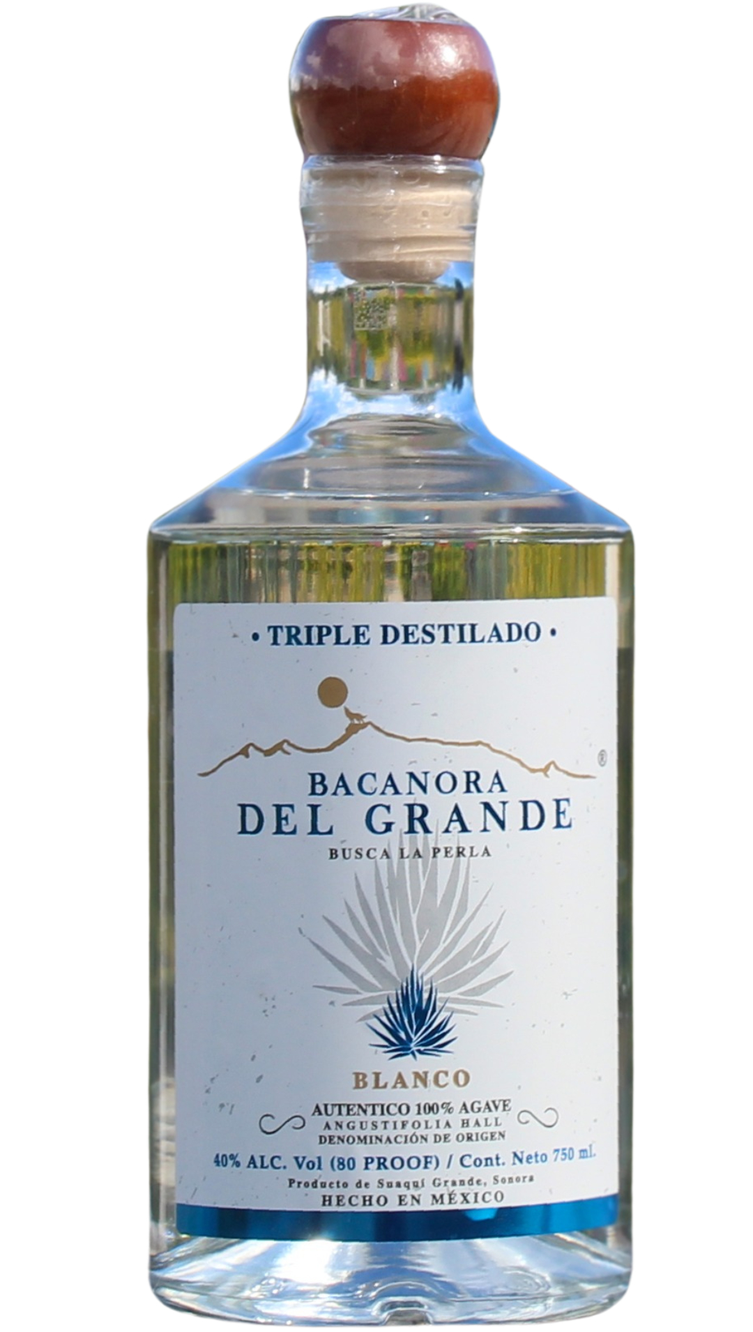 Bacanora Del Grande Blanco Reposado from Mexico - Winner of Gold medal ...